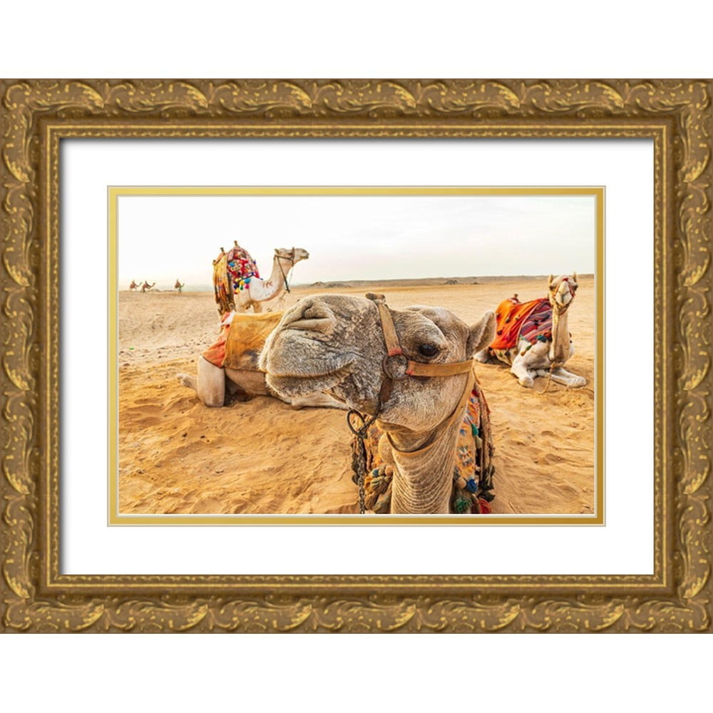 Wilson, Emily 14x11 Gold Ornate Wood Framed with Double Matting Museum ...