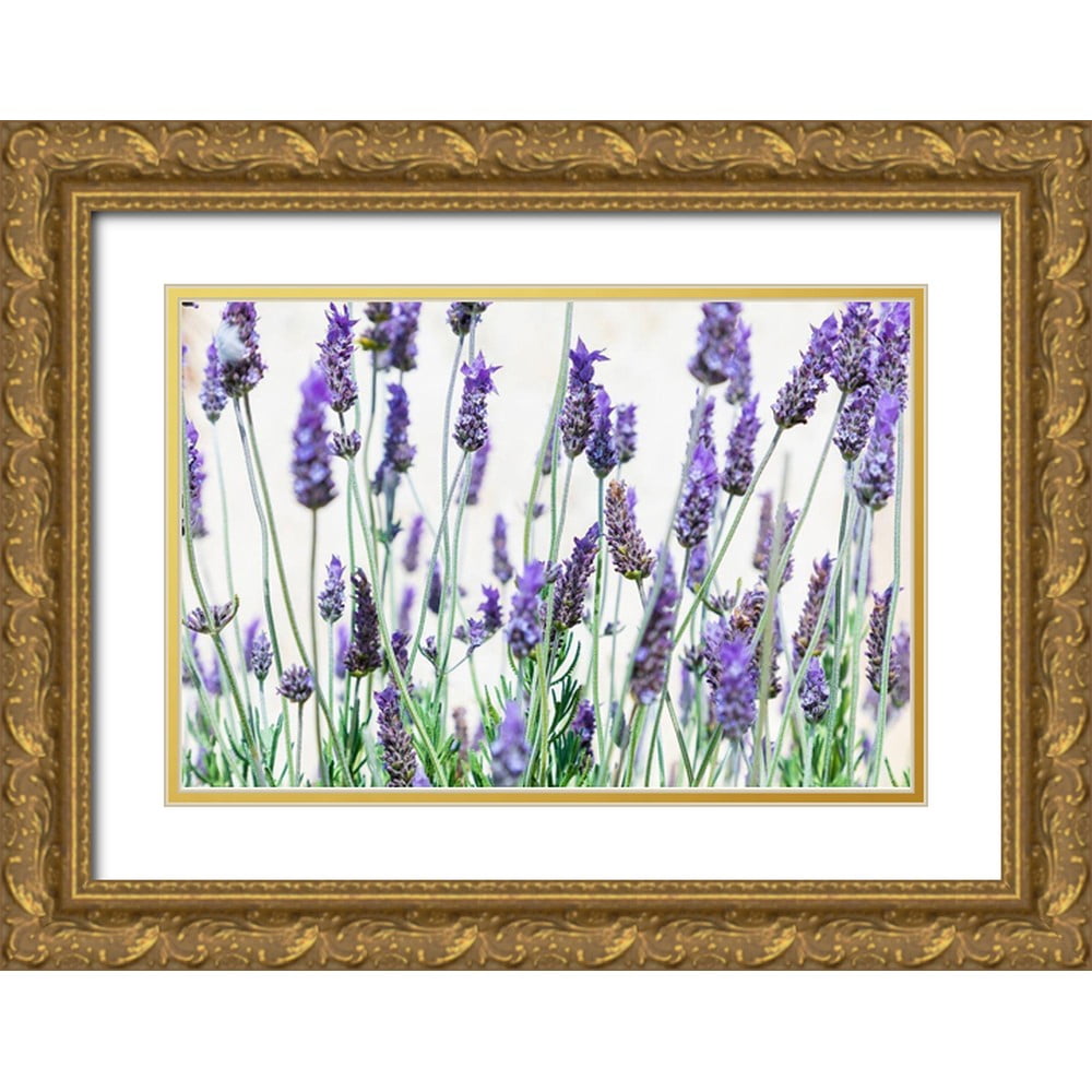 Wilson, Emily 14x11 Gold Ornate Wood Framed with Double Matting Museum ...