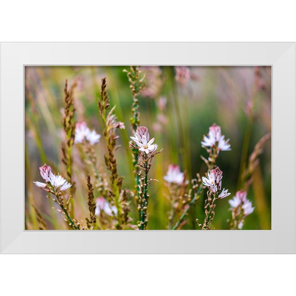 Wilson, Emily 18x13 White Modern Wood Framed Museum Art Print Titled ...