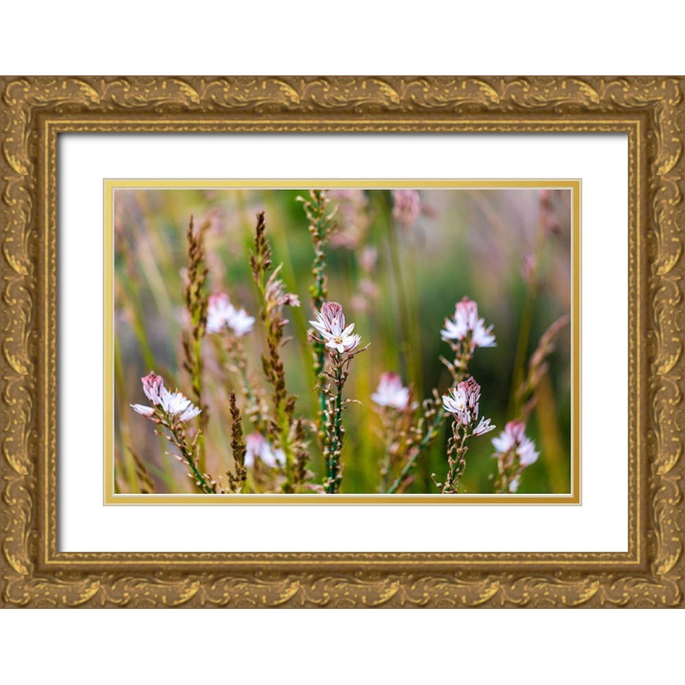 Wilson, Emily 24x17 Gold Ornate Wood Framed with Double Matting Museum ...