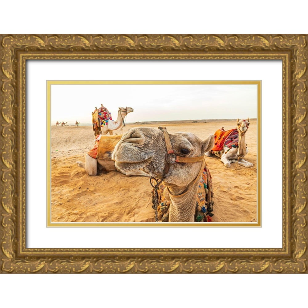 Wilson Emily 32x23 Gold Ornate Wood Framed With Double Matting Museum
