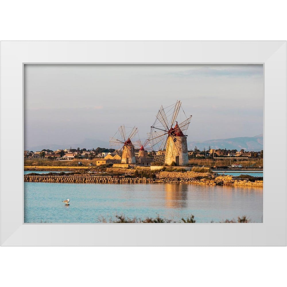 Wilson, Emily 32x23 White Modern Wood Framed Museum Art Print Titled ...