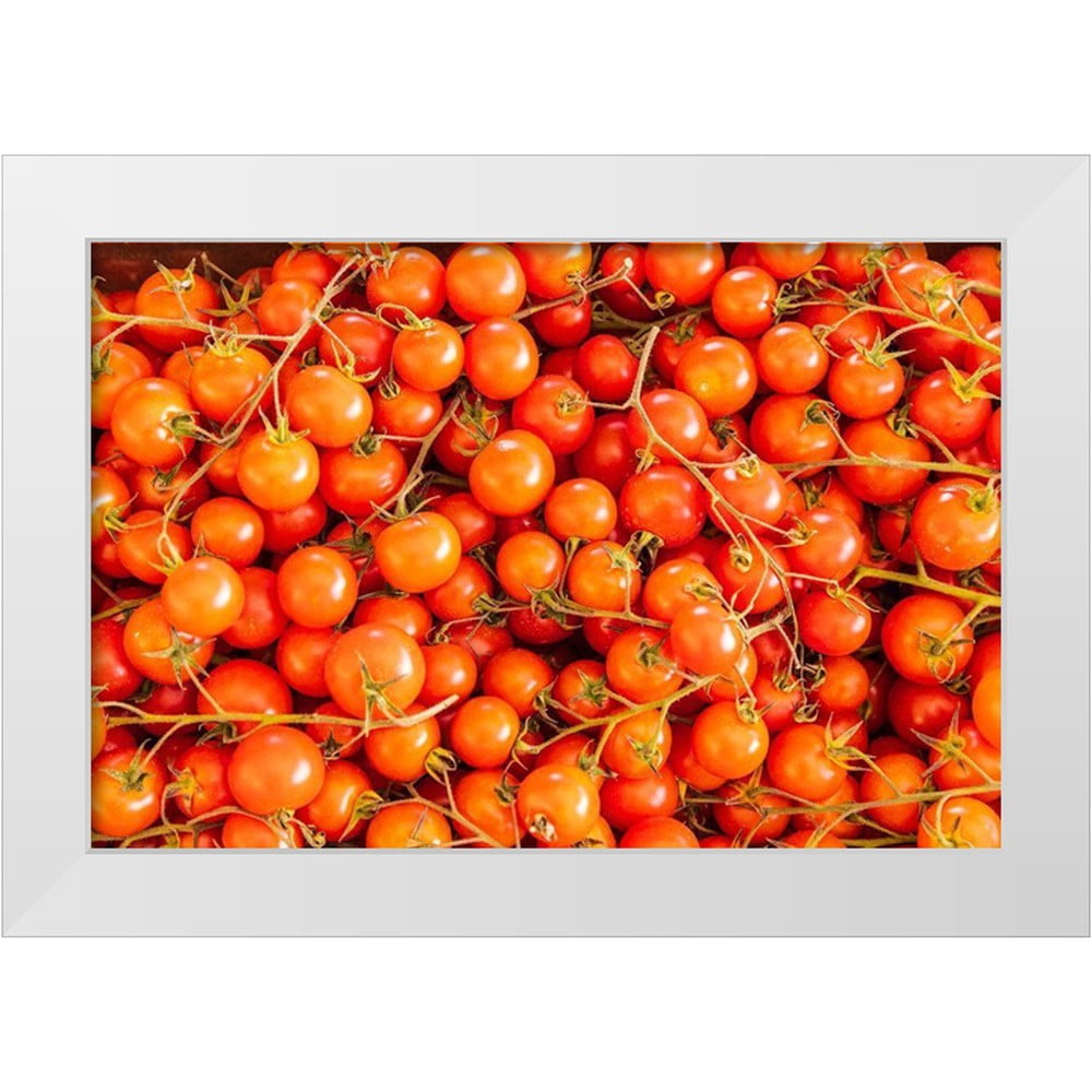 Wilson, Emily 32x23 White Modern Wood Framed Museum Art Print Titled ...