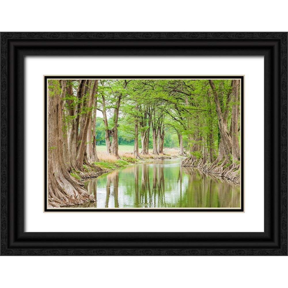 Wilson, Emily M. 14x11 Black Ornate Wood Framed with Double Matting ...