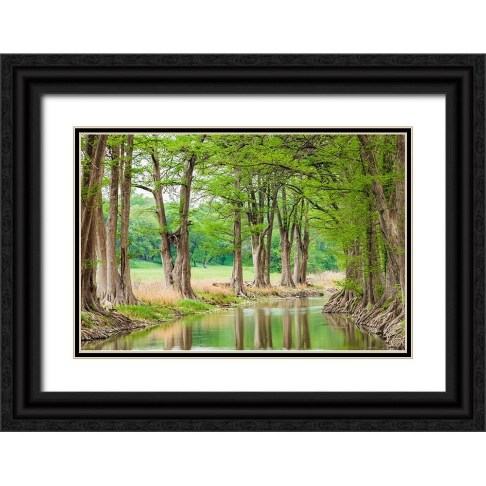 Wilson, Emily M. 14x11 Black Ornate Wood Framed with Double Matting ...