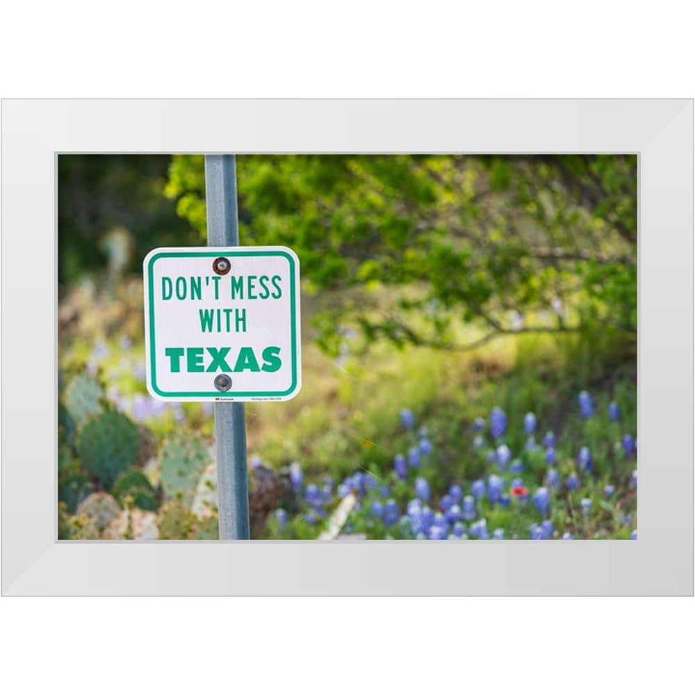 Wilson, Emily M. 14x11 White Modern Wood Framed Museum Art Print Titled ...