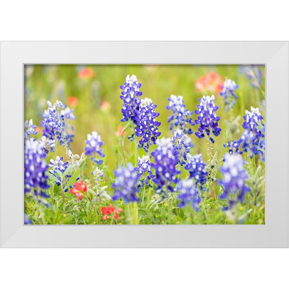 Wilson, Emily M. 14x11 White Modern Wood Framed Museum Art Print Titled ...