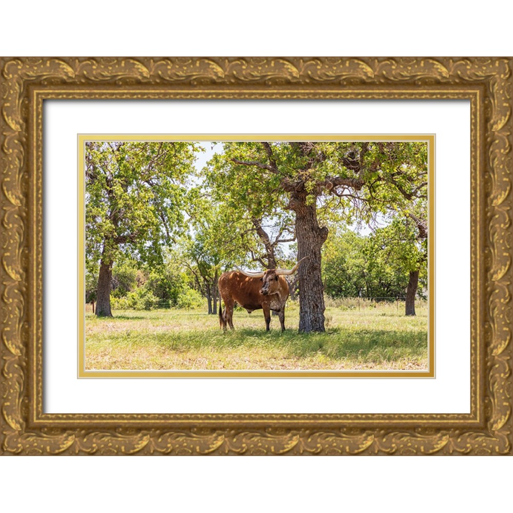Wilson, Emily M. 18x13 Gold Ornate Wood Framed with Double Matting ...