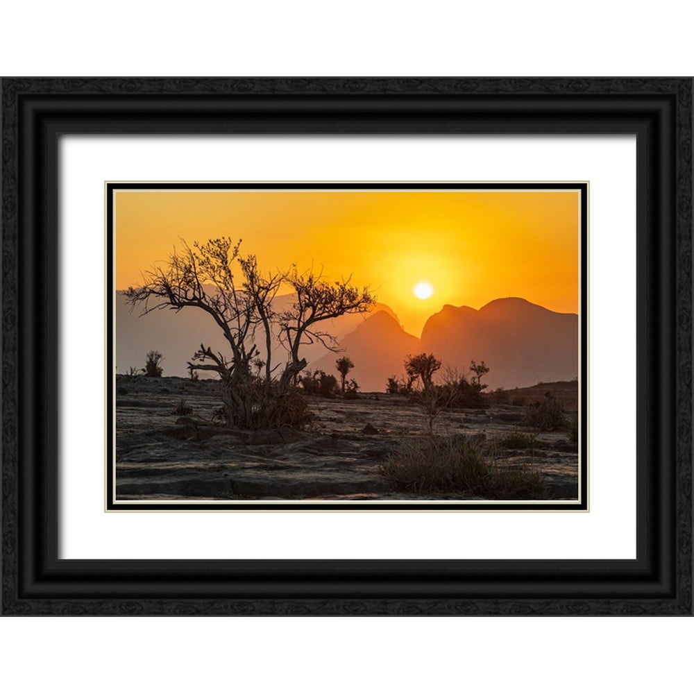 Wilson, Emily M. 24x17 Black Ornate Wood Framed with Double Matting ...