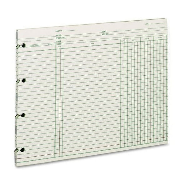 Wilson Jones Ledger Sheets
