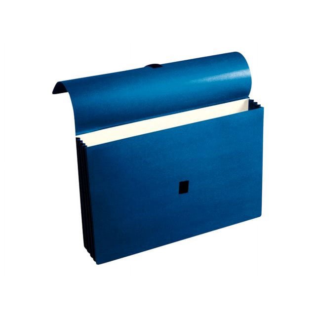 Wilson Jones ColorLife - Document wallet - expanding - for Legal - dark ...