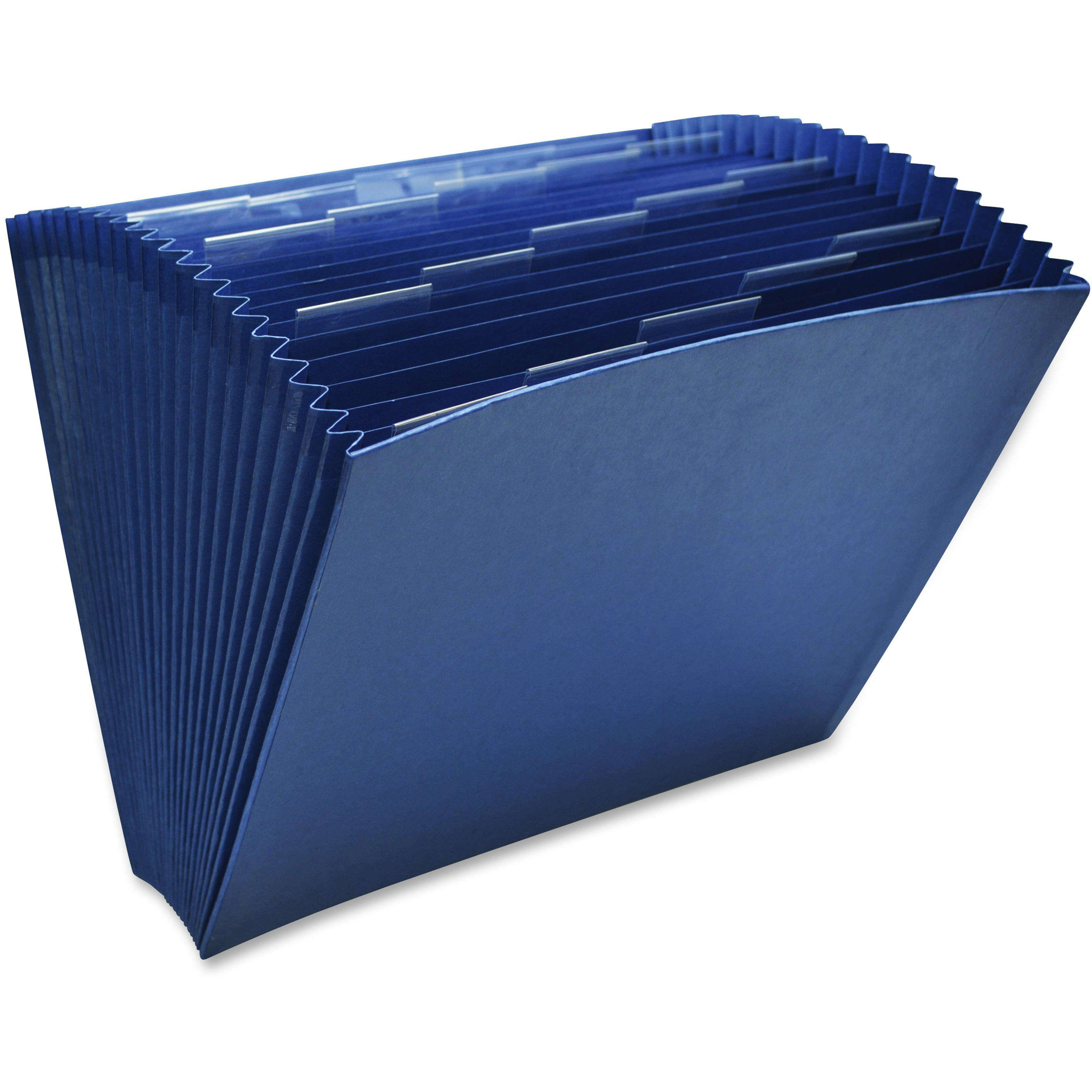 Wilson Jones® ColorLife® Insertable 20-Tab Expanding File without Flap ...