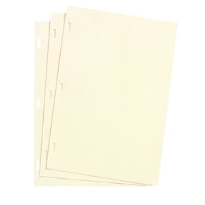 Ledger Paper