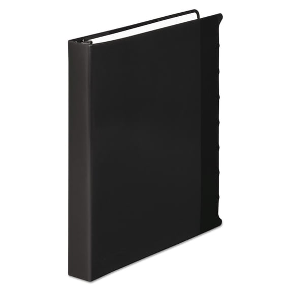 Wilson Jones, WLJ55095, View-Tab 8-Tab Presentation Binder, 1 Each ...