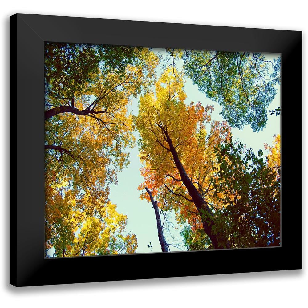 Wilson, Kali 14x12 Black Modern Framed Museum Art Print Titled ...