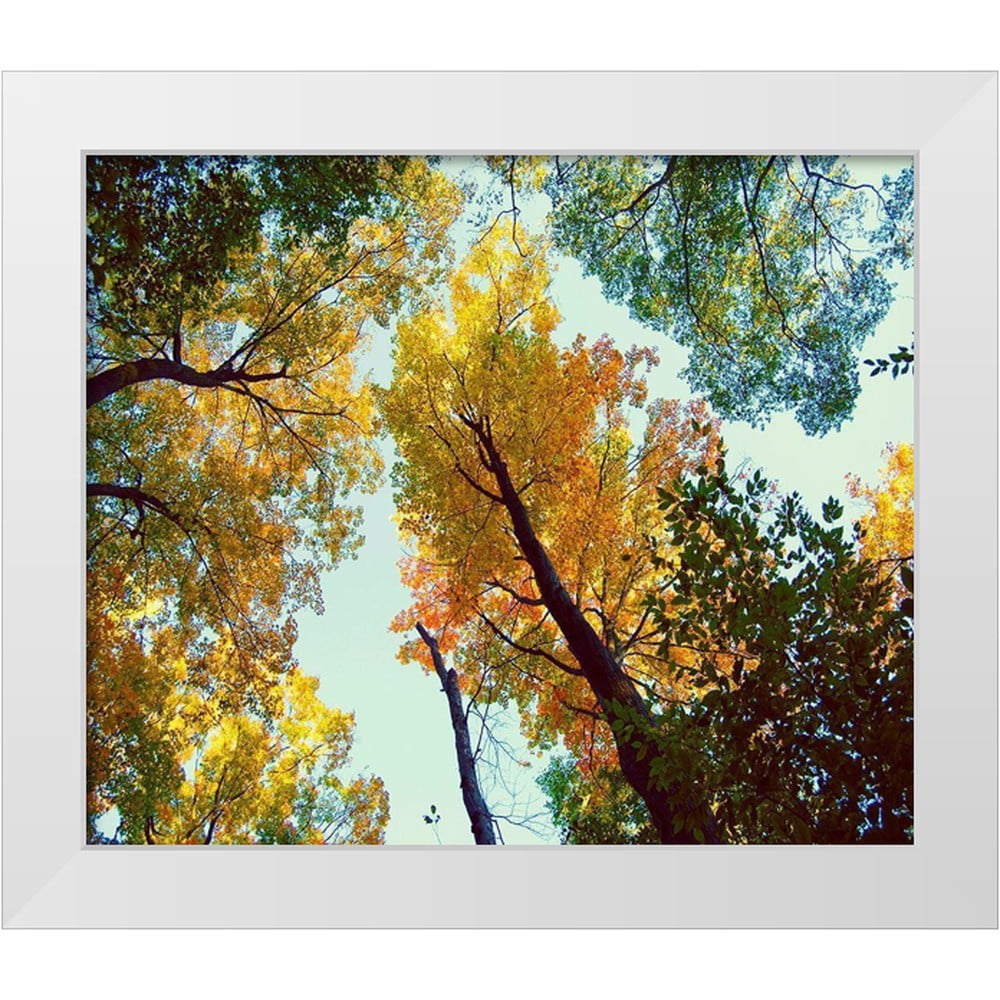 Wilson, Kali 17x15 White Modern Wood Framed Museum Art Print Titled ...