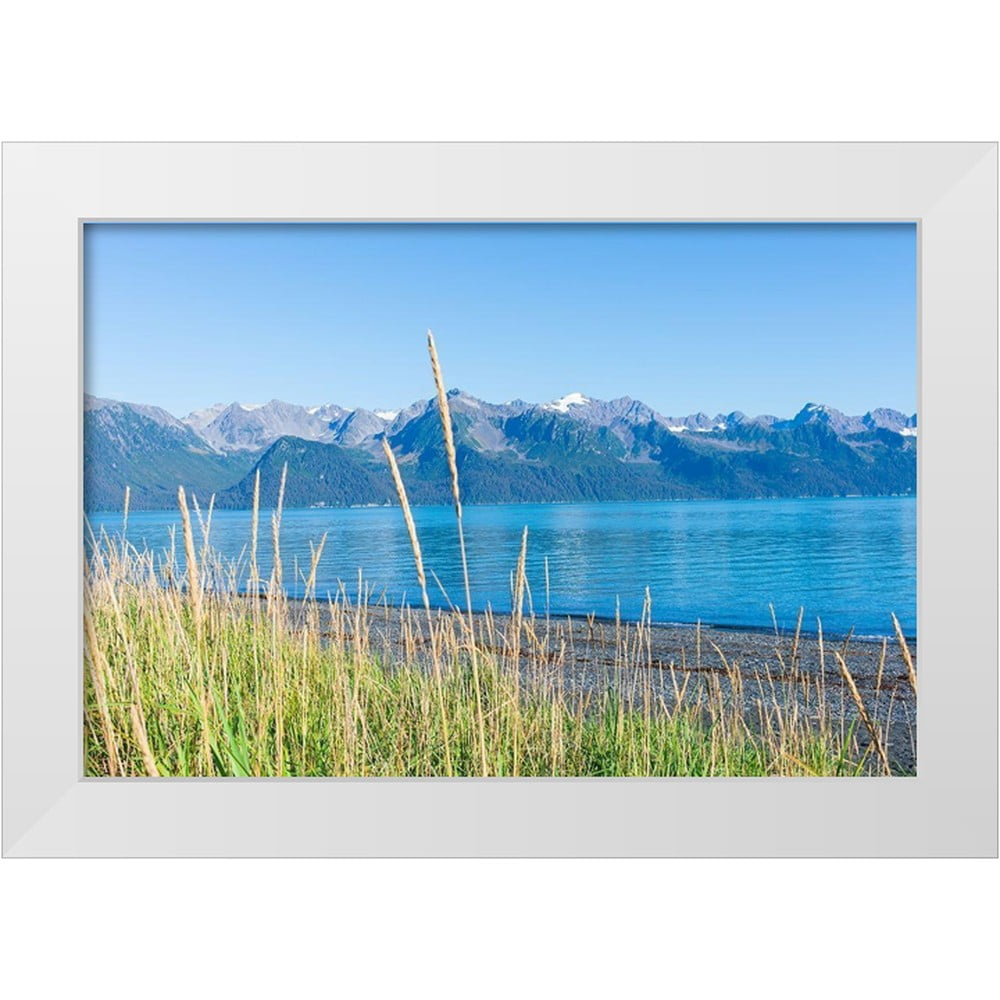 Wilson, Kali 18x13 White Modern Wood Framed Museum Art Print Titled ...