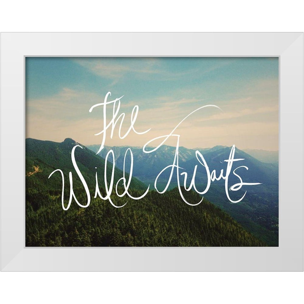 Wilson, Kali 18x15 White Modern Wood Framed Museum Art Print Titled ...