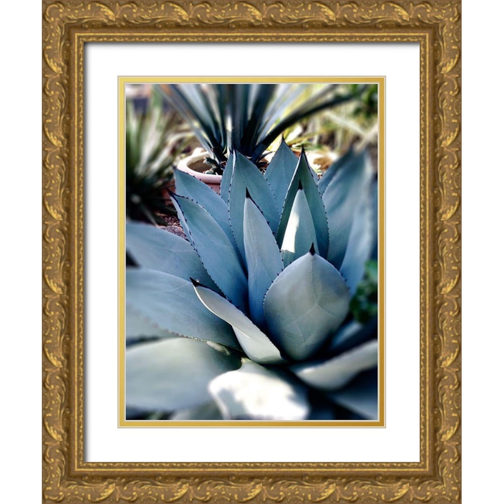 Wilson, Kali 19x24 Gold Ornate Wood Framed with Double Matting Museum ...