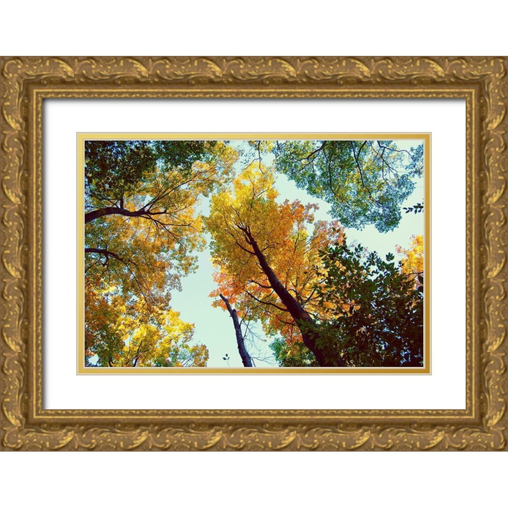 Wilson, Kali 32x23 Gold Ornate Wood Framed with Double Matting Museum ...