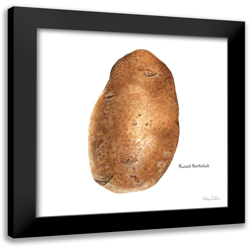 Wilson, Kelsey 15x15 Black Modern Framed Museum Art Print Titled ...