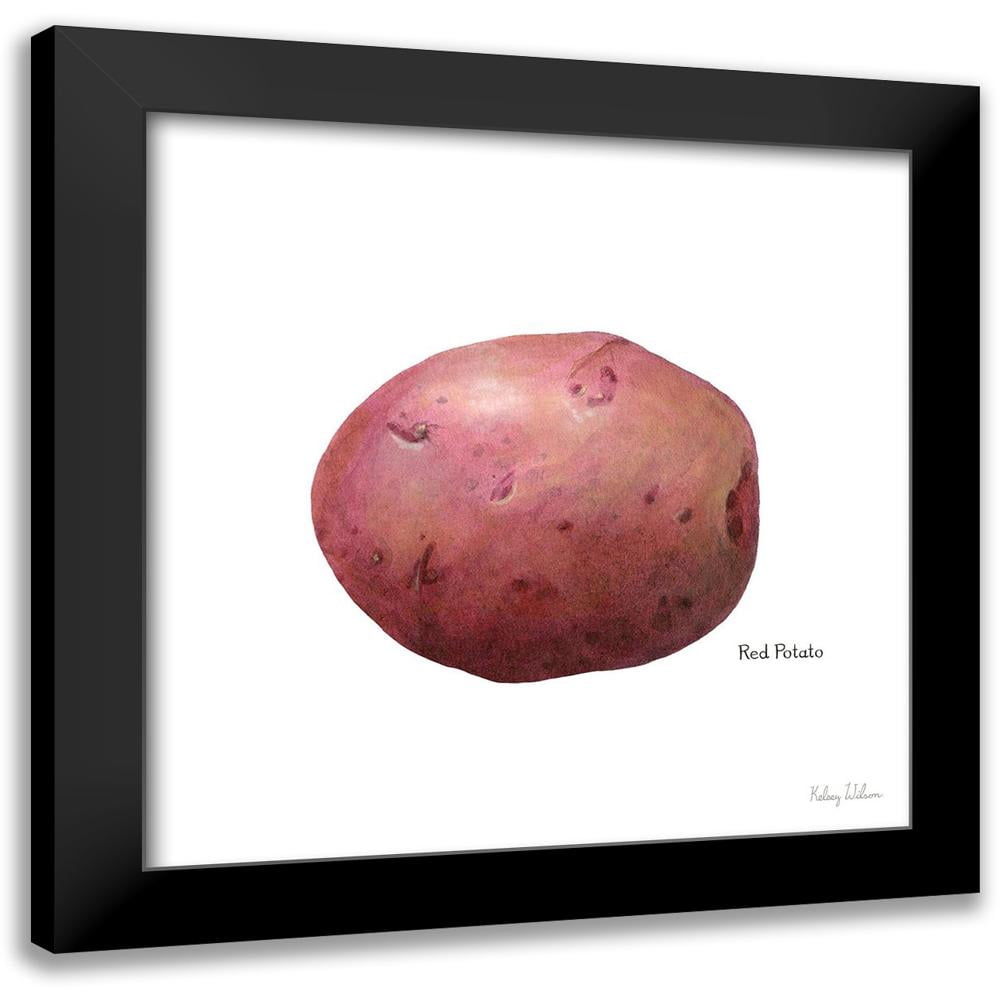 Wilson, Kelsey 15x15 Black Modern Framed Museum Art Print Titled ...