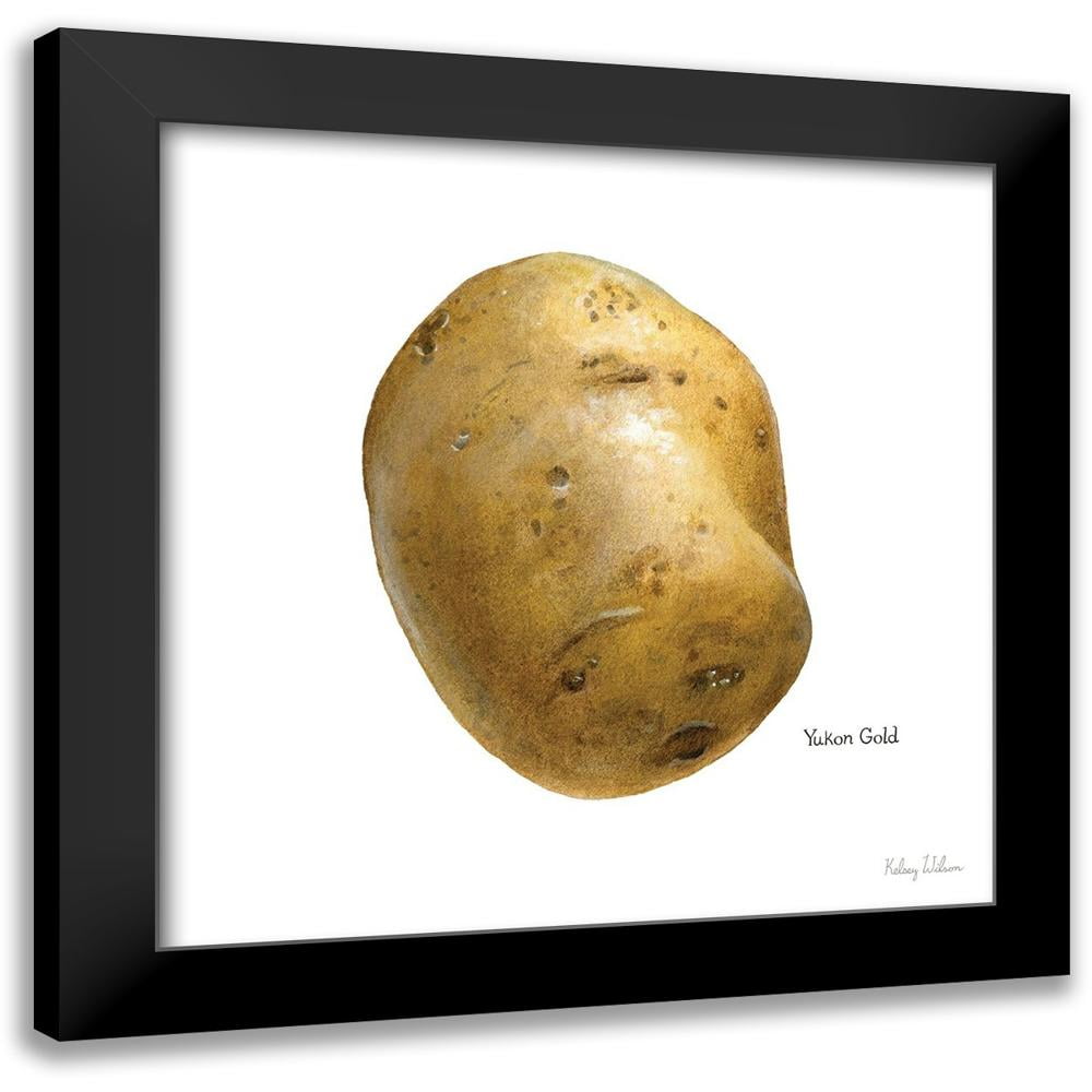 Wilson, Kelsey 15x15 Black Modern Framed Museum Art Print Titled ...