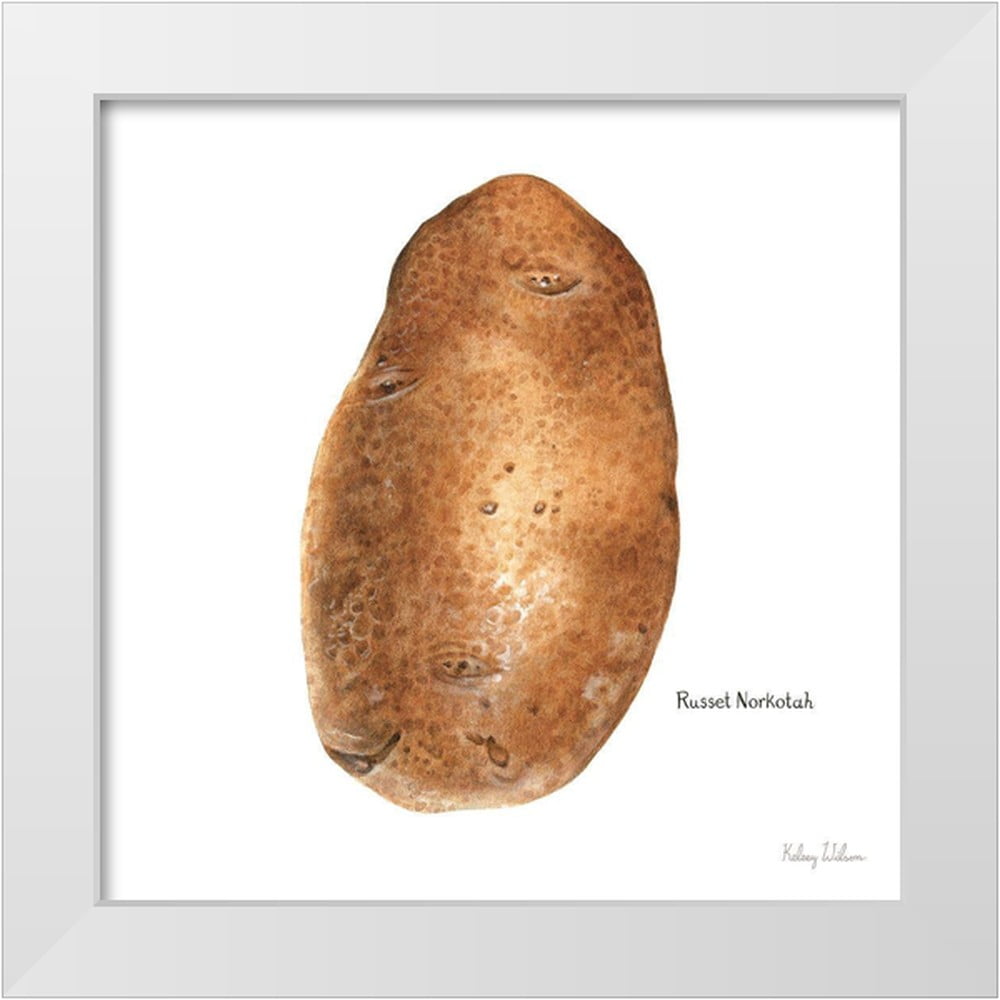 Wilson, Kelsey 26x26 White Modern Wood Framed Museum Art Print Titled ...