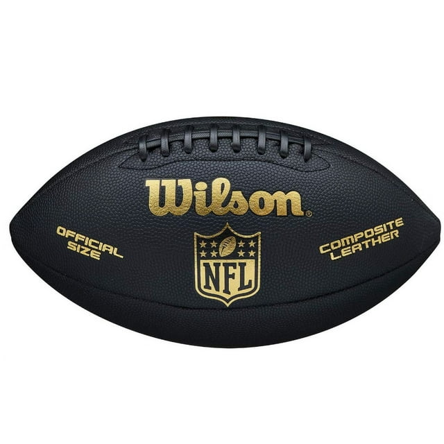 Wilson NFL Silver Series Mini Team Football - Official Size, Black and ...