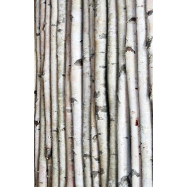 Natural White Birch Sticks 48", Wooden Pack of 3, Diameter .5" to 1 ...