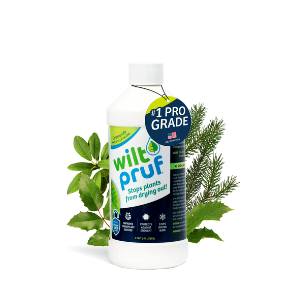 Wilt-Pruf Outdoor Plant Protector Concentrate, Winter Guard, 16-ounce ...