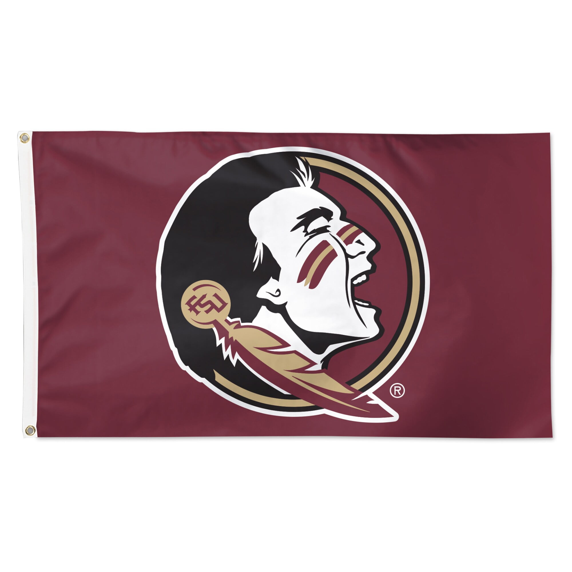 Florida State University Flags
