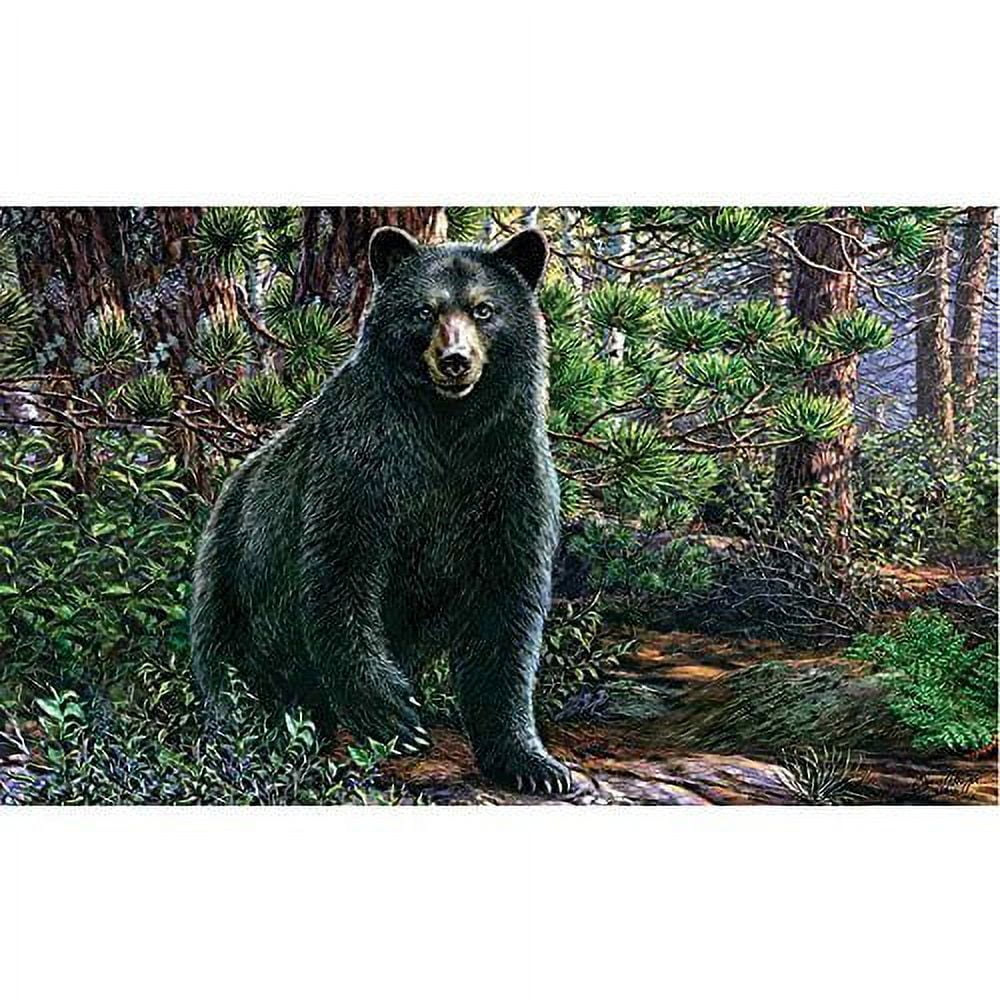 WinHome Big Black Bear Doormat Floor Mats Rugs Outdoors/Indoor Doormat ...
