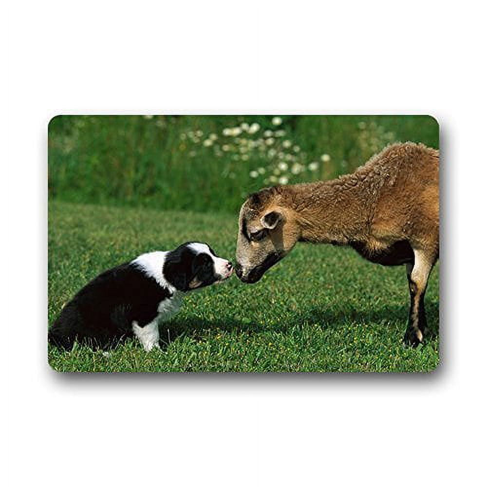 WinHome Border Collie Doormat Floor Mats Rugs Outdoors/Indoor Doormat ...