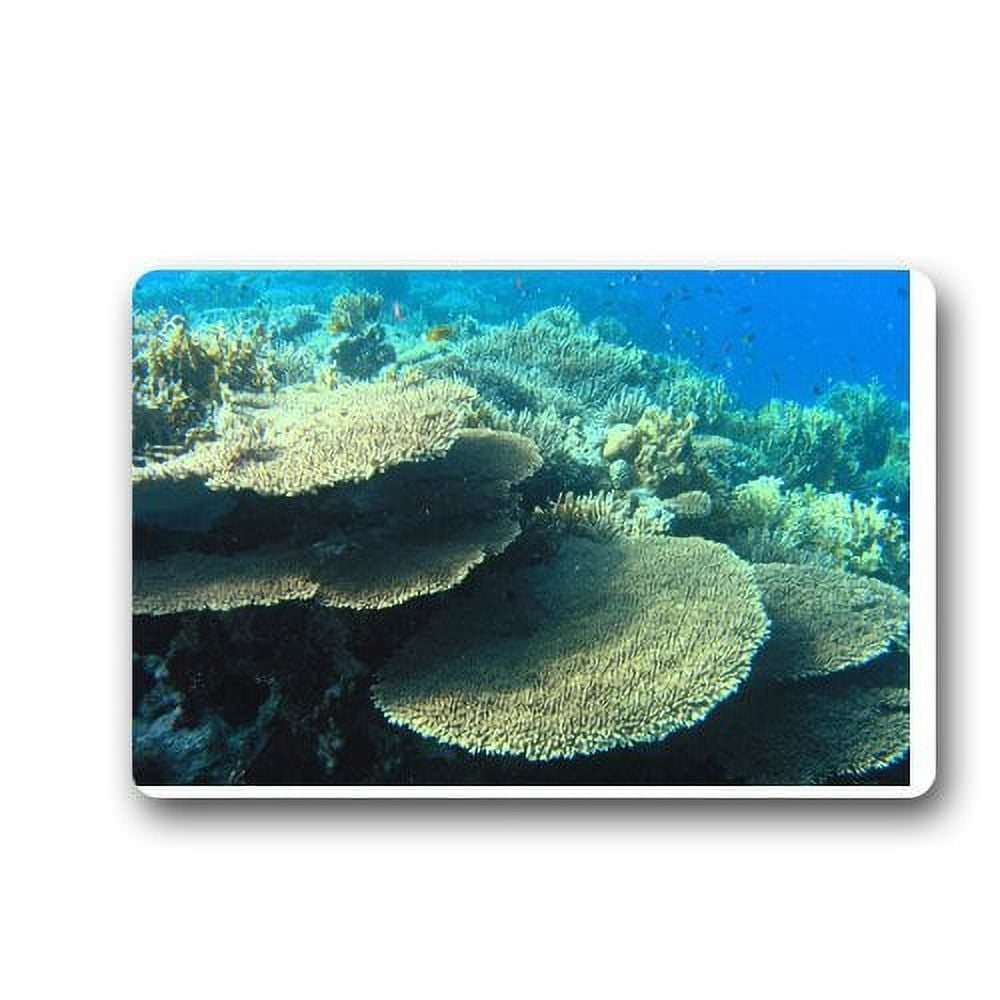 Red Sea Reef Mat