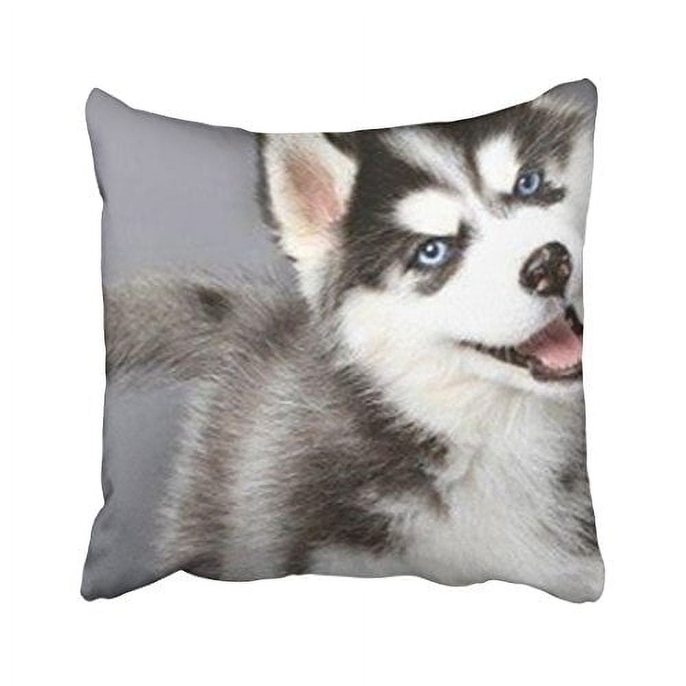 WinHome Decorative Cute Husky Dog Zippered Pillow Cases Cover Size ...