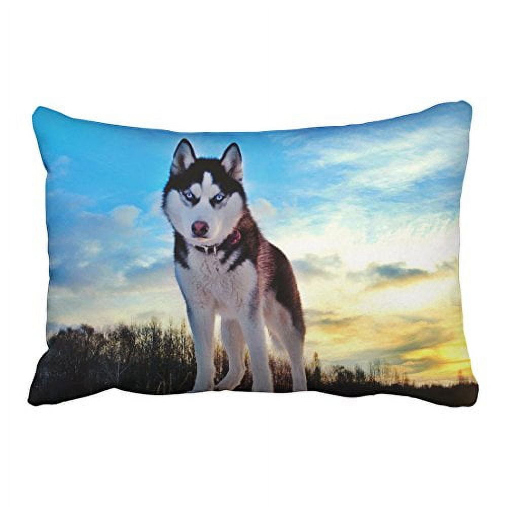 WinHome Decorative Siberian Husky Dog Zippered Pillow Cases Size 20x30 ...