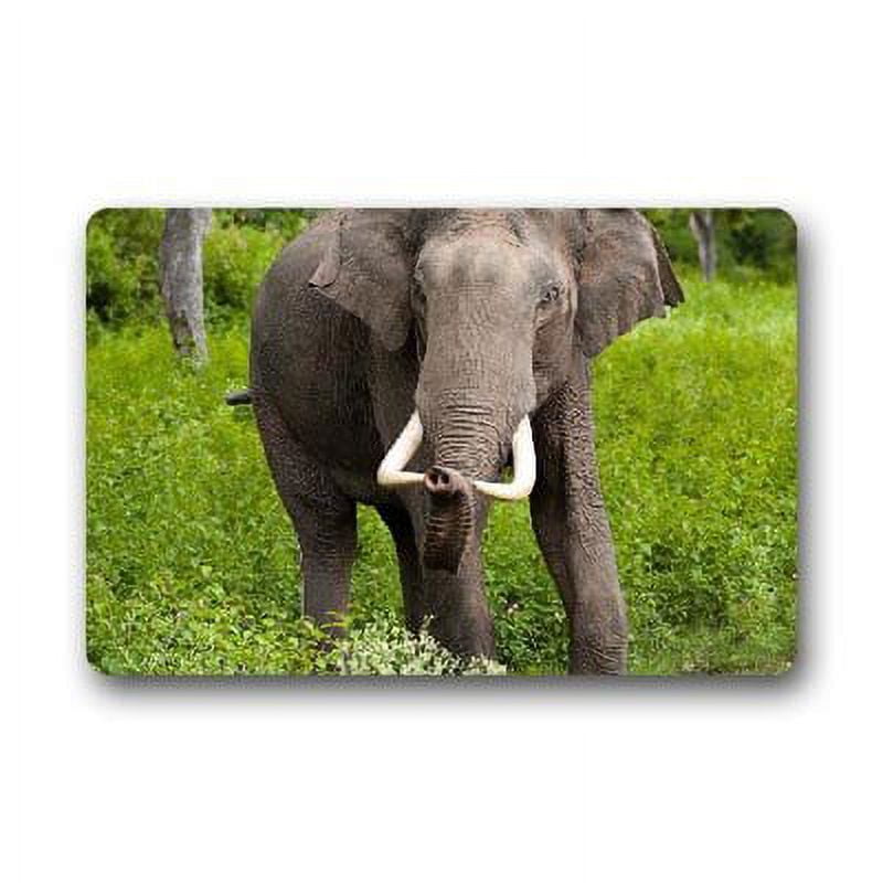 WinHome Elephant animal Doormat Floor Mats Rugs Outdoors/Indoor Doormat ...