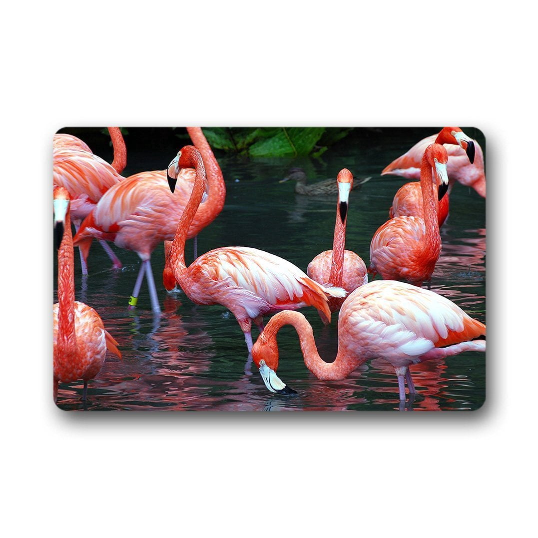 WinHome Flamingo Doormat Floor Mats Rugs Outdoors/Indoor Doormat Size ...