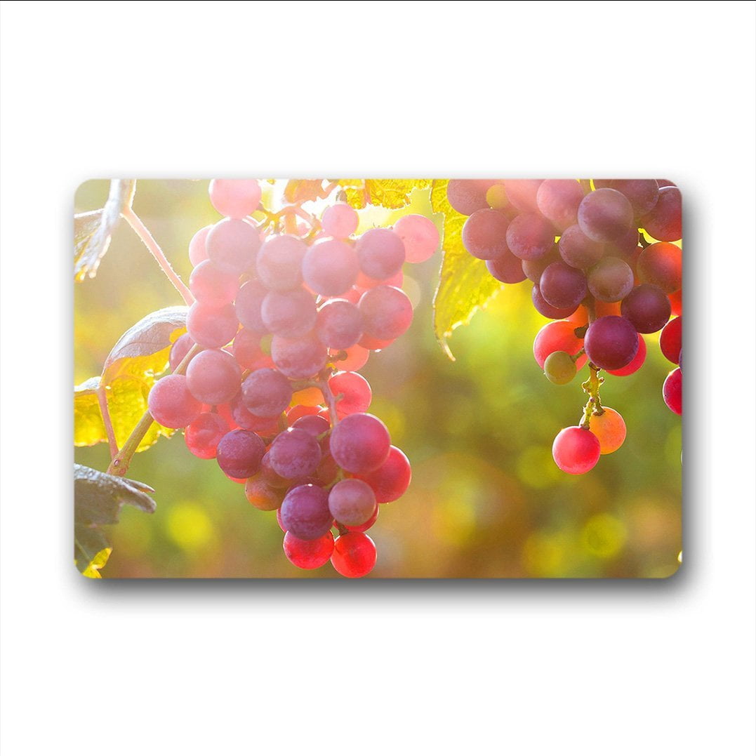 WinHome Fruit Grapes Doormat Floor Mats Rugs Outdoors/Indoor Doormat ...