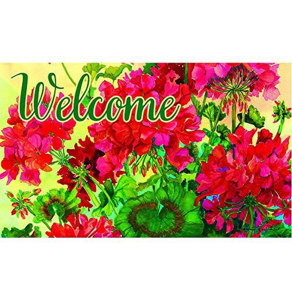 WinHome Geraniums Doormat Floor Mats Rugs Outdoors/Indoor Doormat Size ...