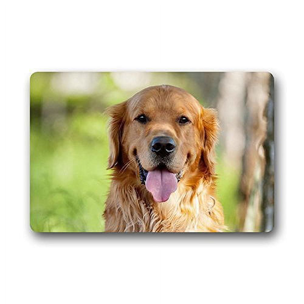 WinHome Golden Retriever Doormat Floor Mats Rugs Outdoors/Indoor ...