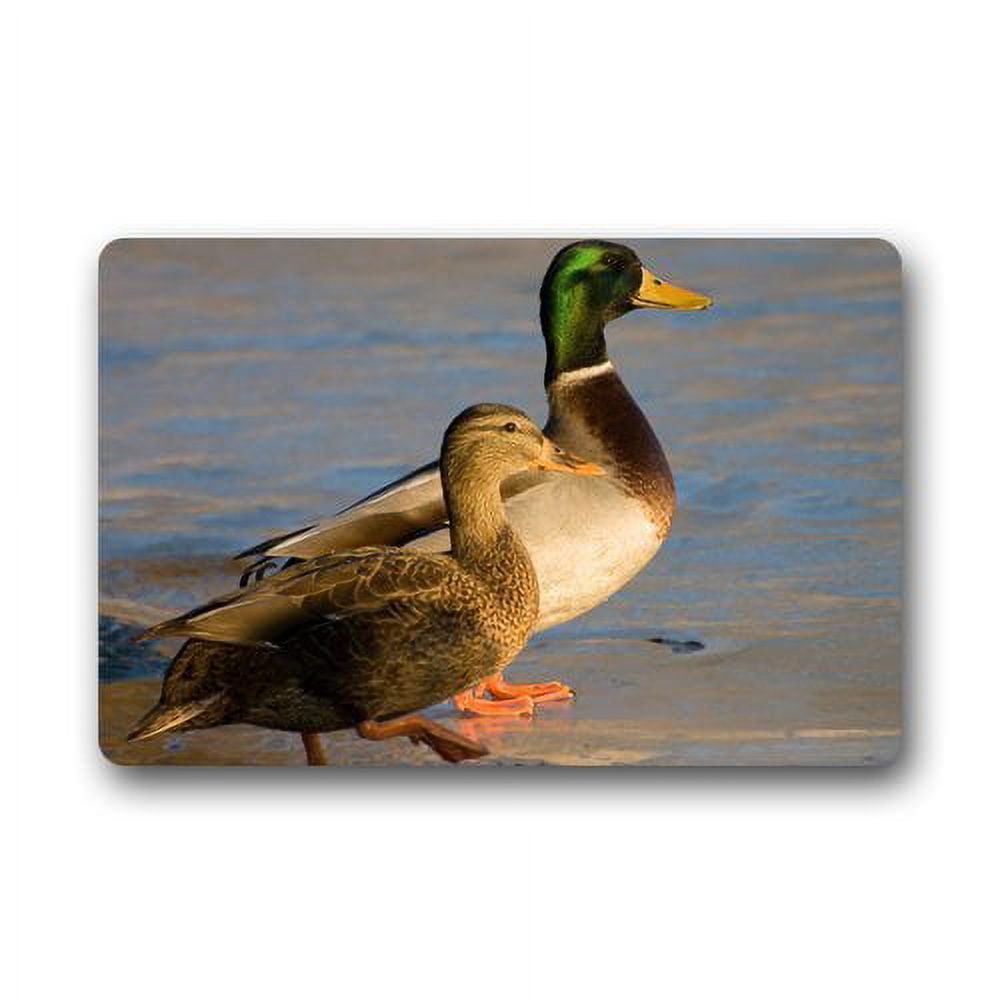WinHome Male Mallard Duck Doormat Floor Mats Rugs Outdoors/Indoor ...