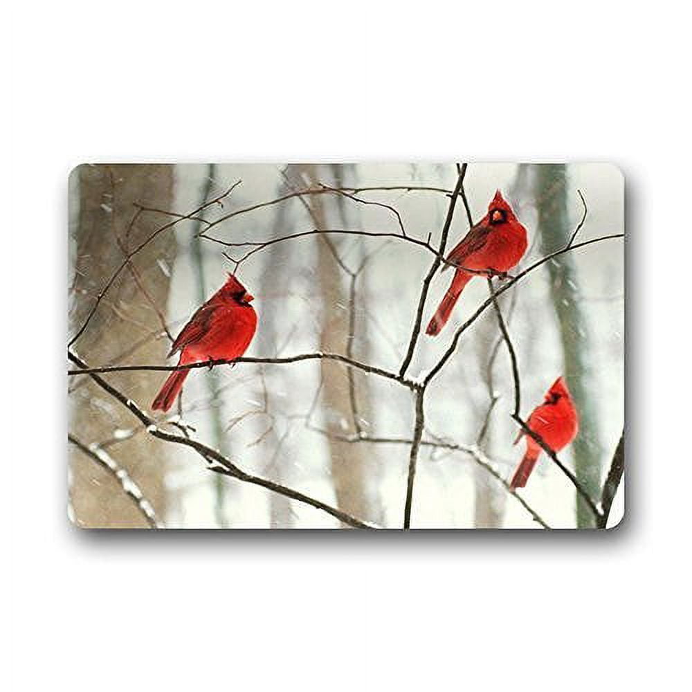 WinHome Northern Cardinal Bird Doormat Floor Mats Rugs Outdoors/Indoor ...