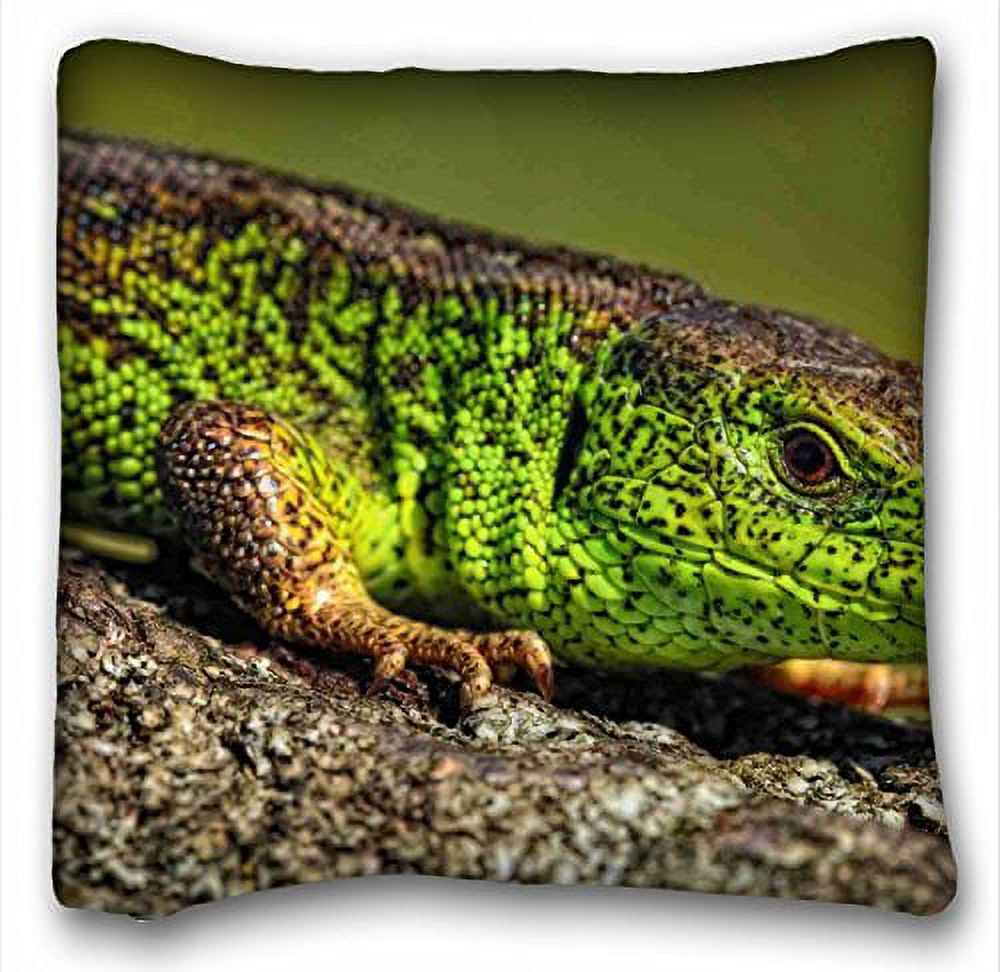 WinHome Standard Pillowcases Pillow Cover Case With Hidden Zipper Decor ...