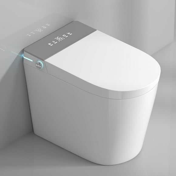 Bidet Toilets in Toilet Fixtures - Walmart.com