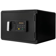 Electronic Digital Safe