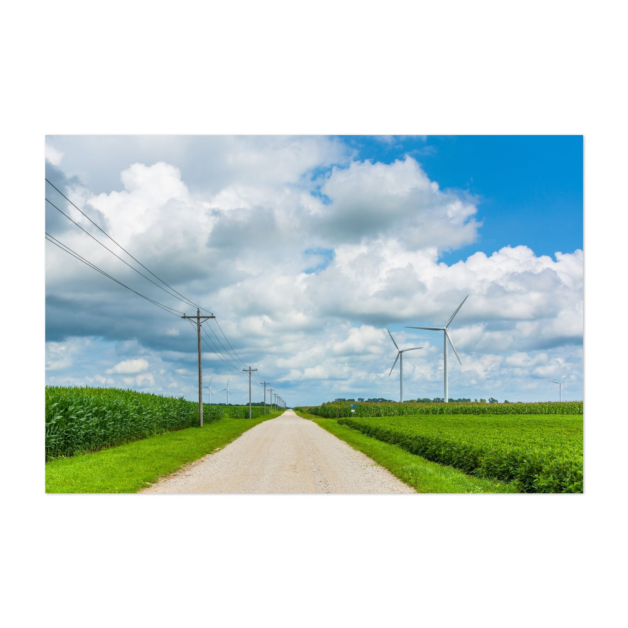 Wind Blows - Indiana Photography Unframed Wall Art Print 8 x 12 inches ...