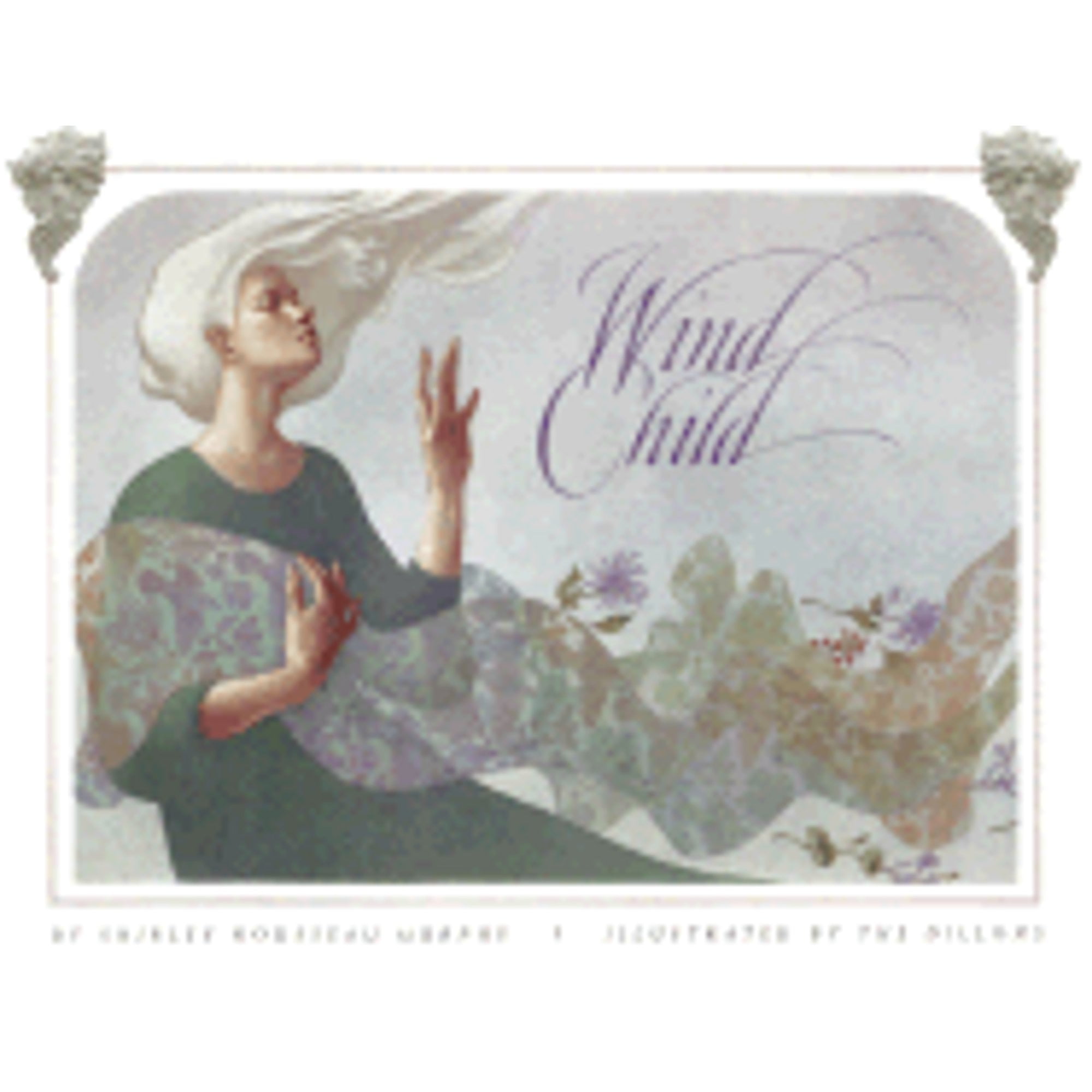 Wind Child (Hardcover) by Shirley Rousseau Murphy - Walmart.com