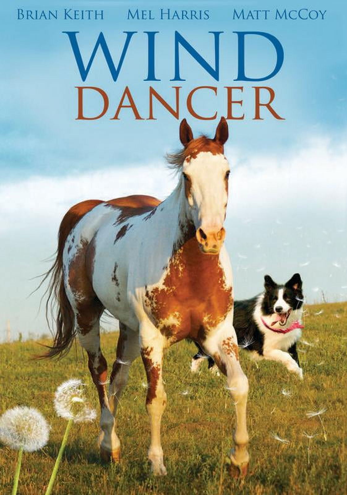 Pre-Owned Wind Dancer (DVD) - Walmart.com